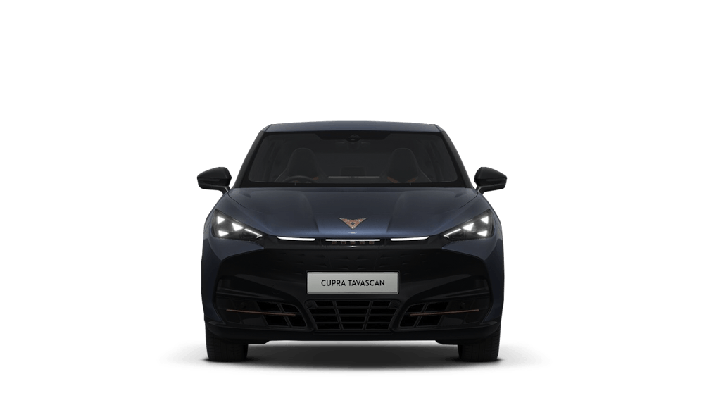 CUPRA Service Schedule