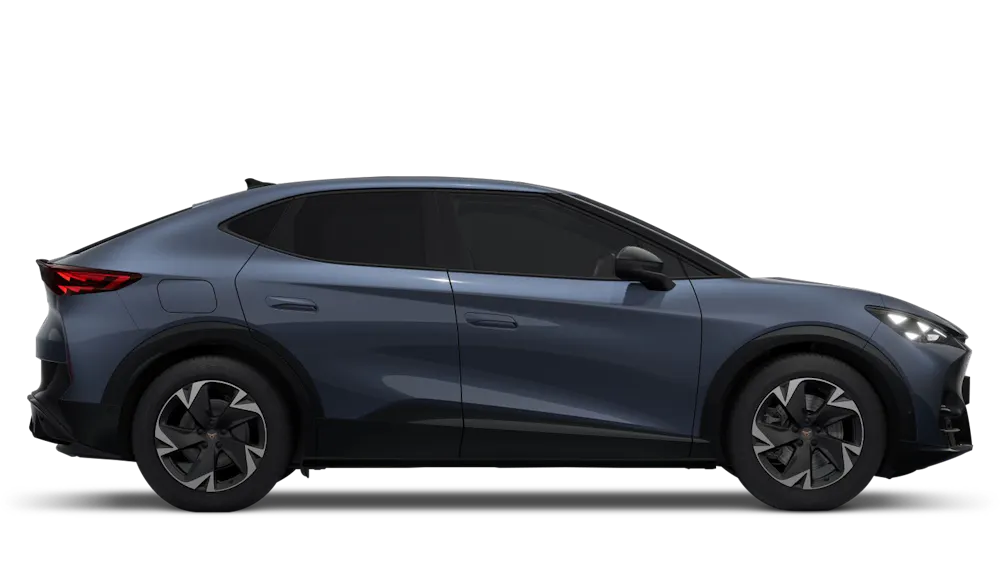 CUPRA Service Schedule