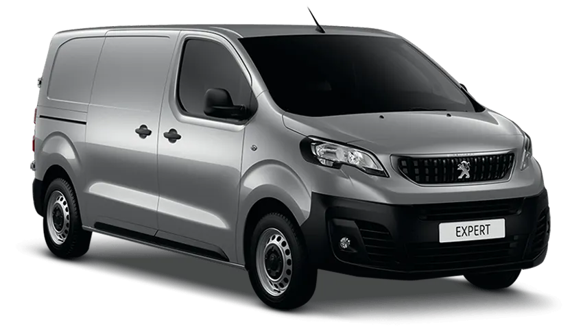 Wheelchair Accessible Peugeot Expert Tepee 2.0 HDi L1 98 Comfort 2014 ...