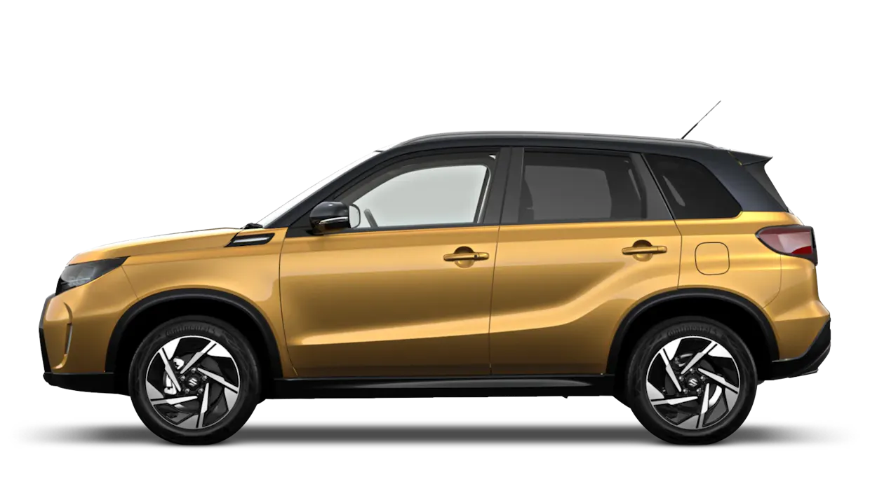 SUZUKI FINANCE EXPLAINED. WJ KING SUZUKI